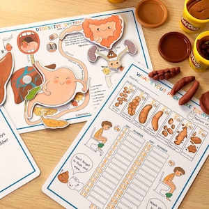 Human Anatomy BUNDLE - Systems Organs Parts of the Body, Anatomy Busy ...