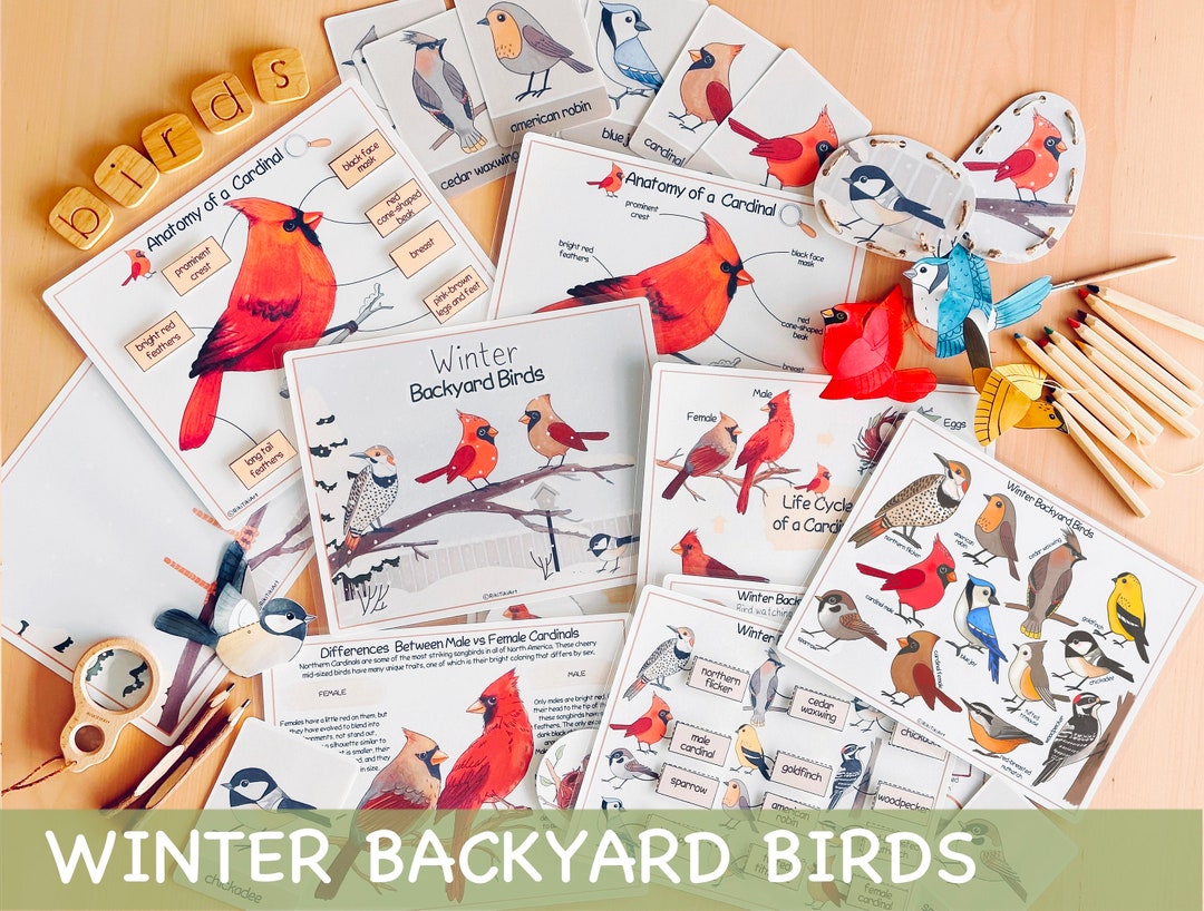 Winter Backyard Birds Unit Study Charlotte Mason Homeschool Learning ...