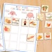 Human Brain Anatomy Bundle, Printable Homeschool Curriculum Preschool ...
