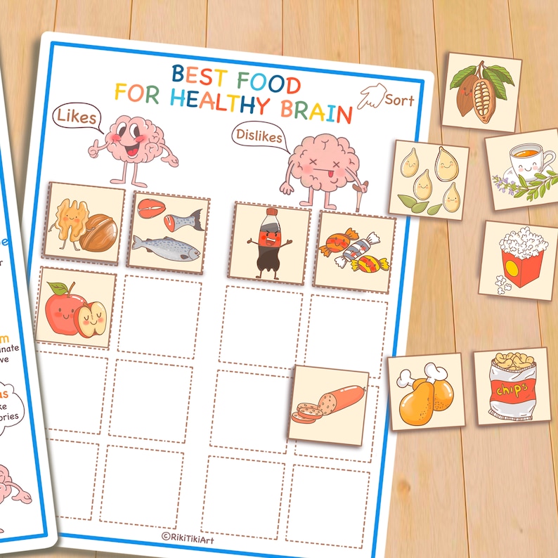 Human Brain Anatomy Bundle Printable Homeschool Curriculum - Etsy