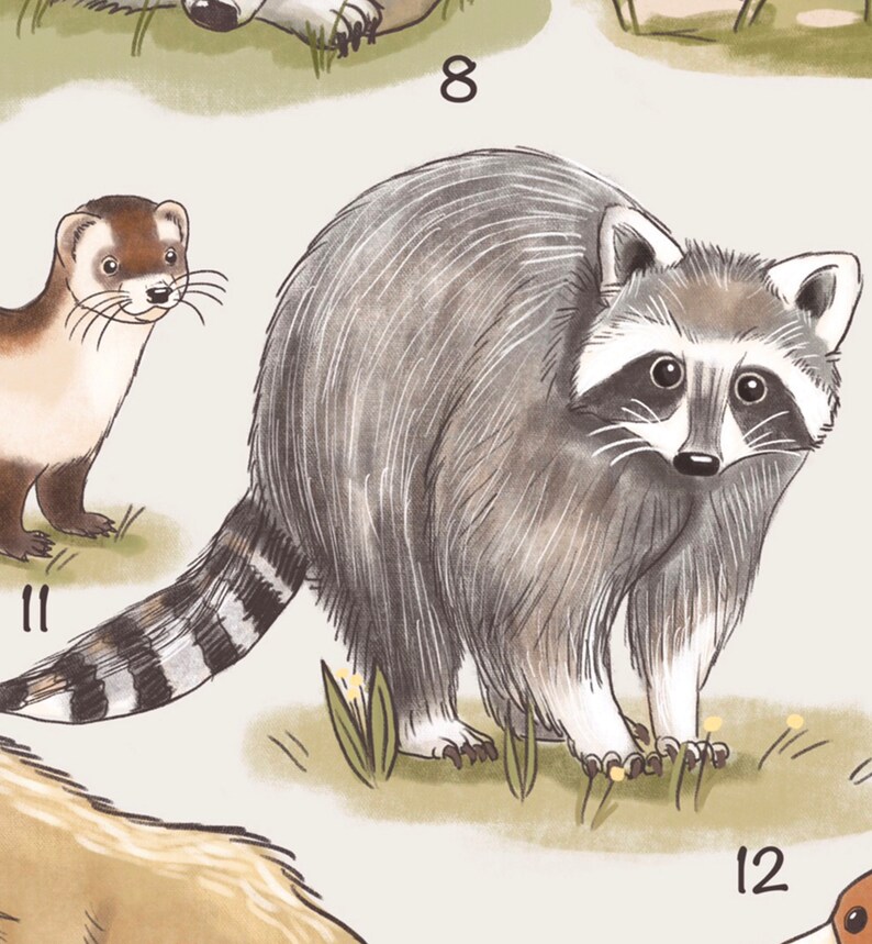 Woodland Animals Educational Posters Montessori Nursery | Etsy