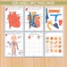 Human Anatomy Study Bundle, Anatomical Heart Homeschool Curriculum ...