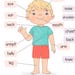 Human Body Poster for Toddlers Body Parts Educational Poster for Kids ...