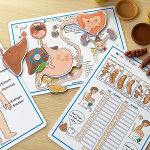 Human Digestive System Anatomy Bundle, About Me Homeschool Curriculum ...