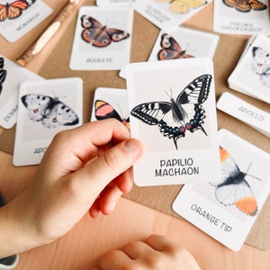 Butterfly Flash Cards Montessori Printable Homeschool Resources Toddler ...
