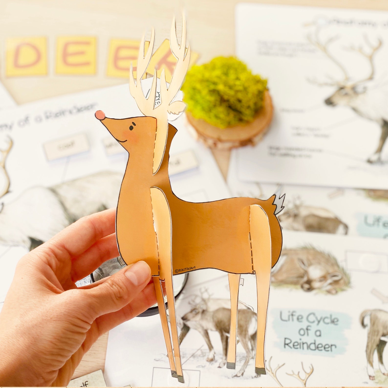 Reindeer Unit Study Homeschool Learning Materials Charlotte Mason ...