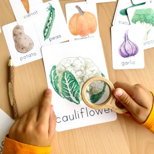 18 Watercolor Vegetables Flash Cards for Kids Vegetable Flashcards for ...