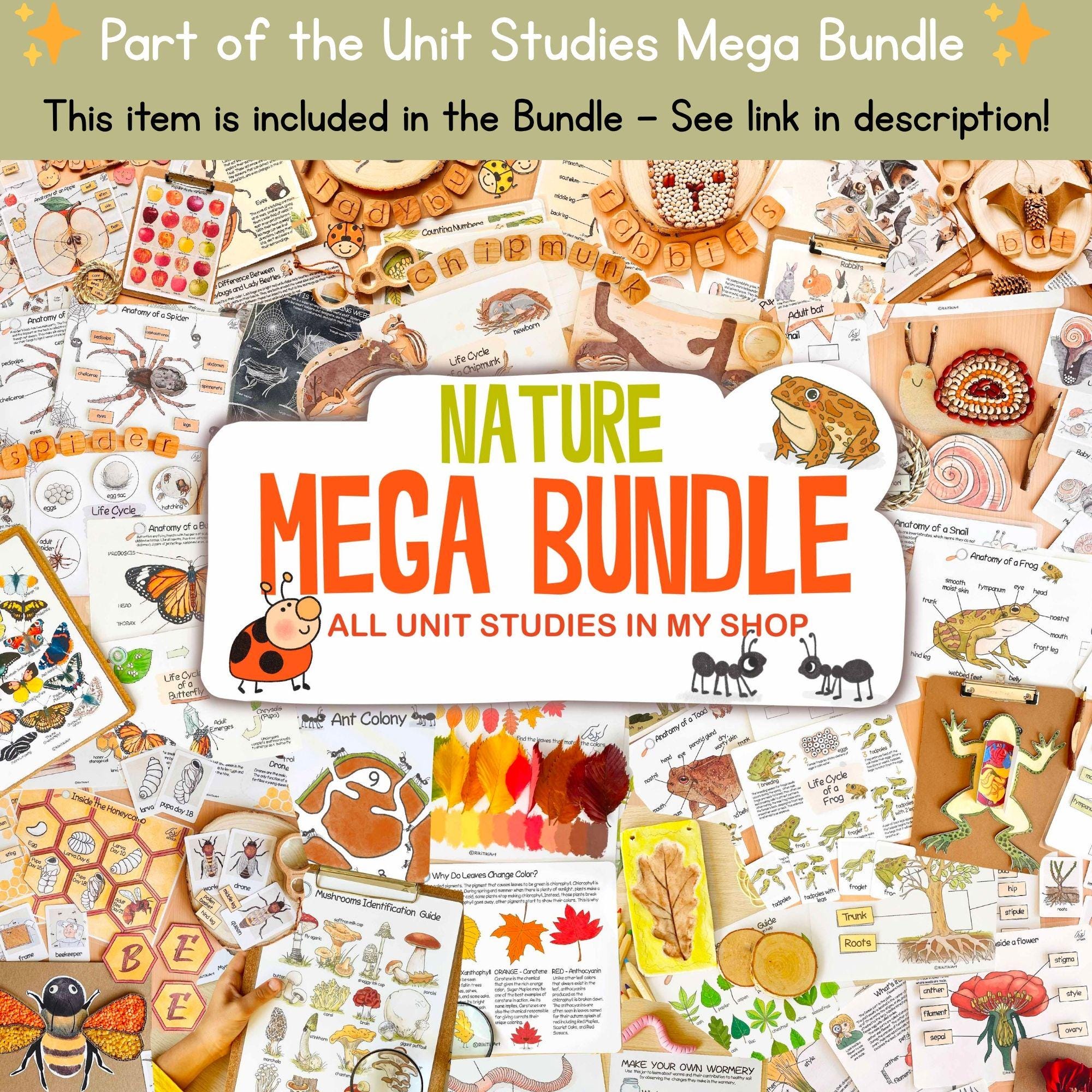 Butterfly Unit Study Bundle Charlotte Mason Nature Study Homeschool ...