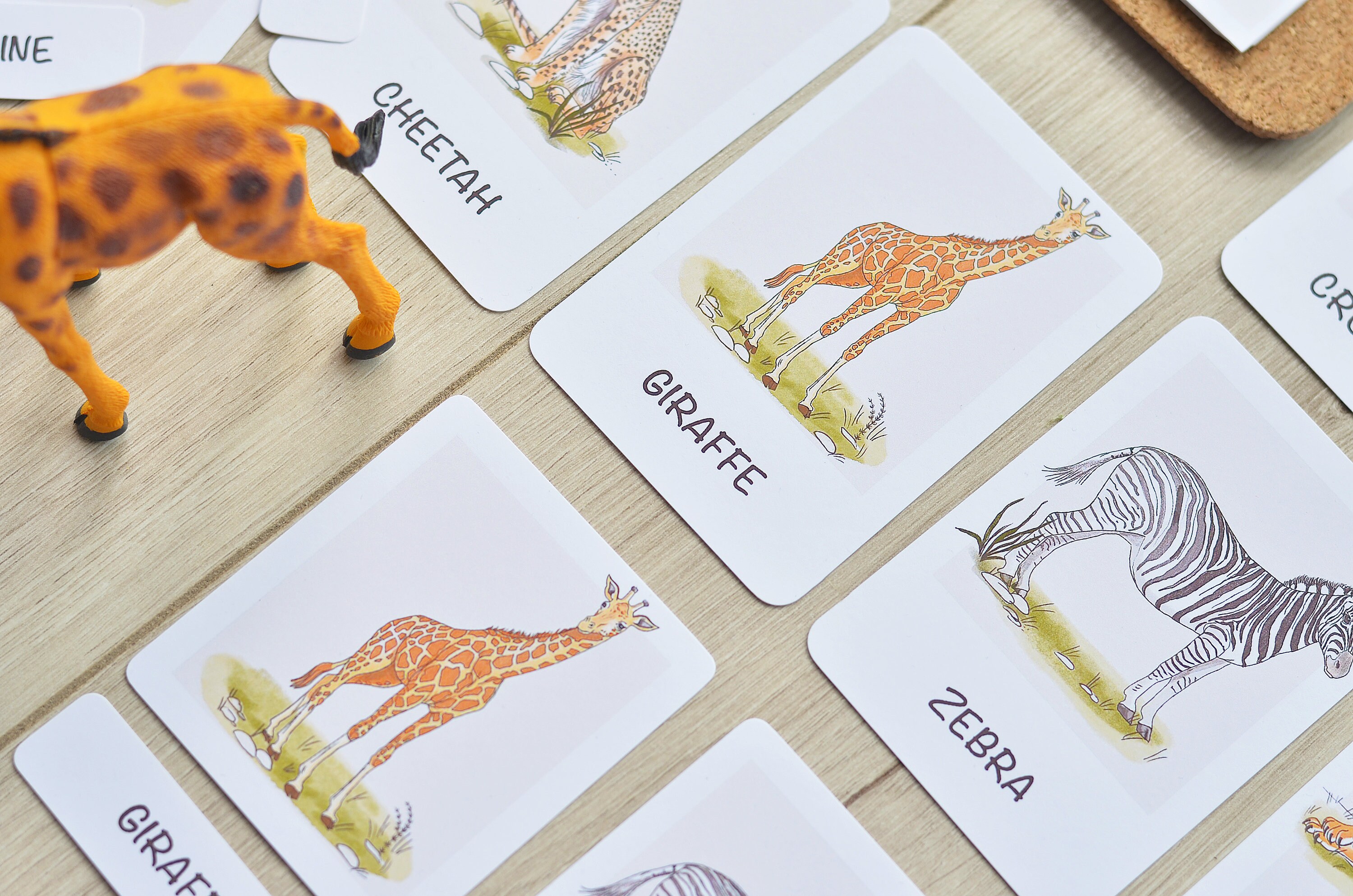 Safari Animals Flashcards Printable Montessori Materials | Etsy UK