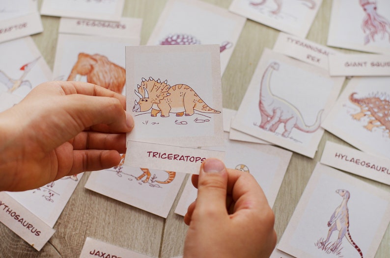 Dinosaur Flashcards Printable Montessori Materials - Etsy