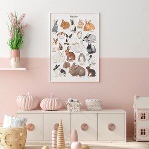 Rabbits Poster Educational Homeschool Decor Bunnies Breeds Watercolor ...