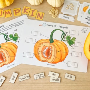 Pumpkin Unit Study Homeschool Learning Materials Charlotte Mason ...