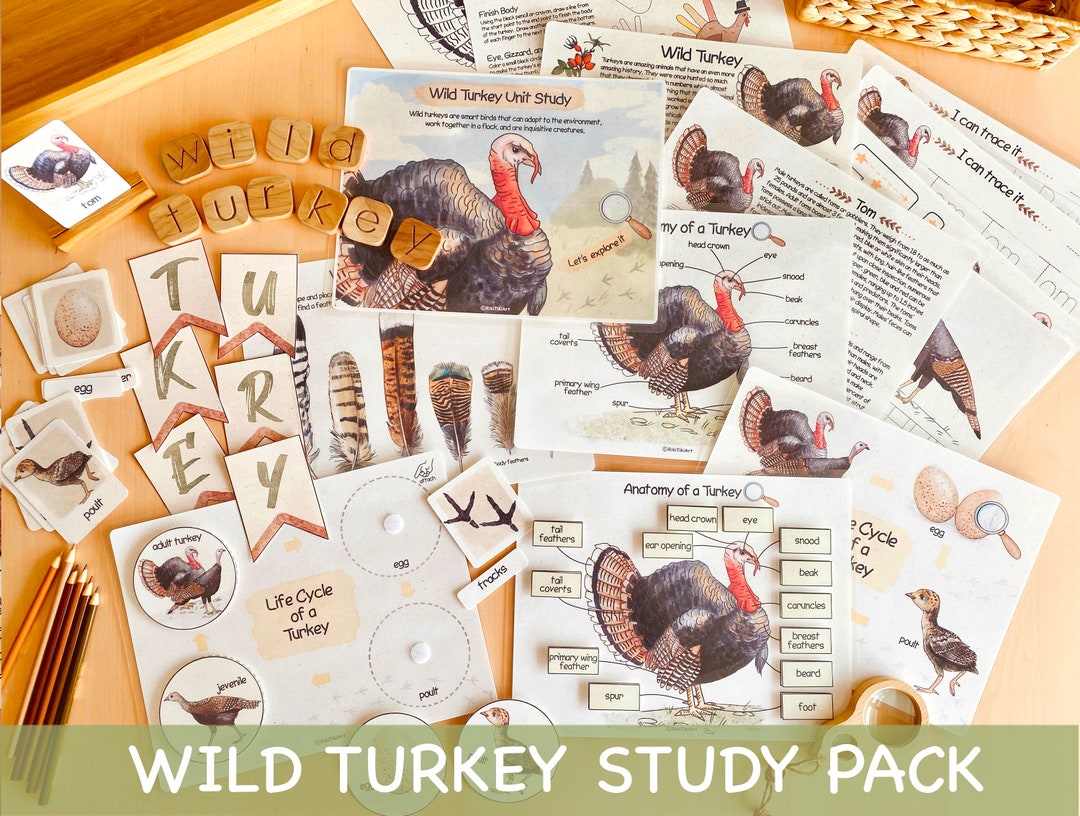 Turkey Unit Study Fall Homeschool Learning Materials Charlotte Mason ...