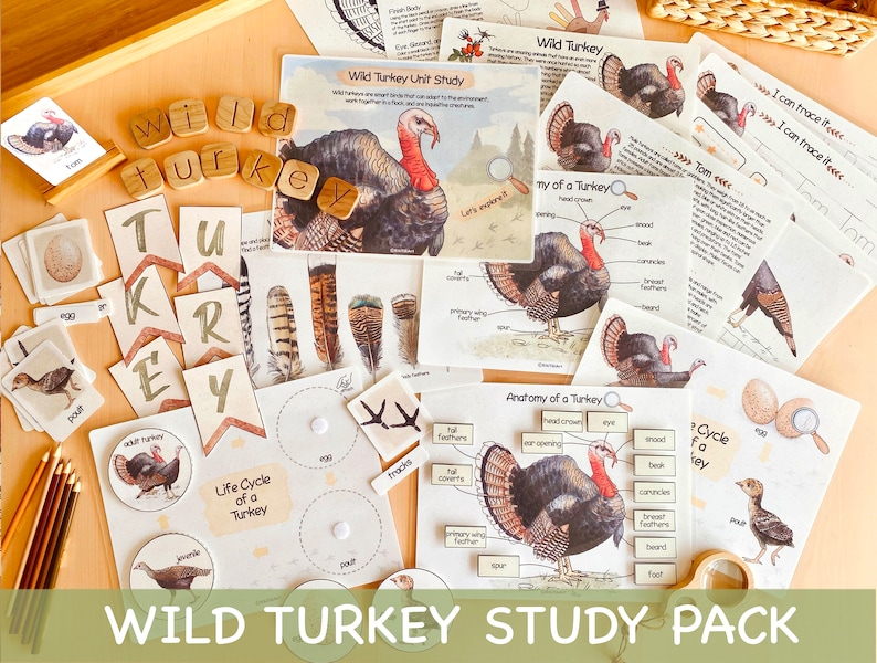 Turkey Unit Study Fall Homeschool Learning Materials Charlotte Mason ...