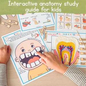 Human Anatomy BUNDLE - Systems Organs Parts of the Body, Anatomy Busy ...