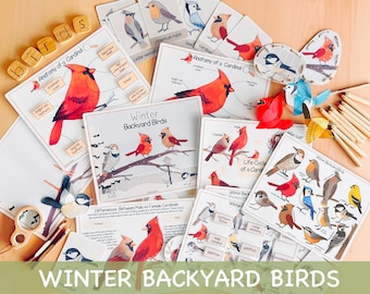 Nesting Birds Mega Bundle Nature Study, Charlotte Mason, Homeschool ...