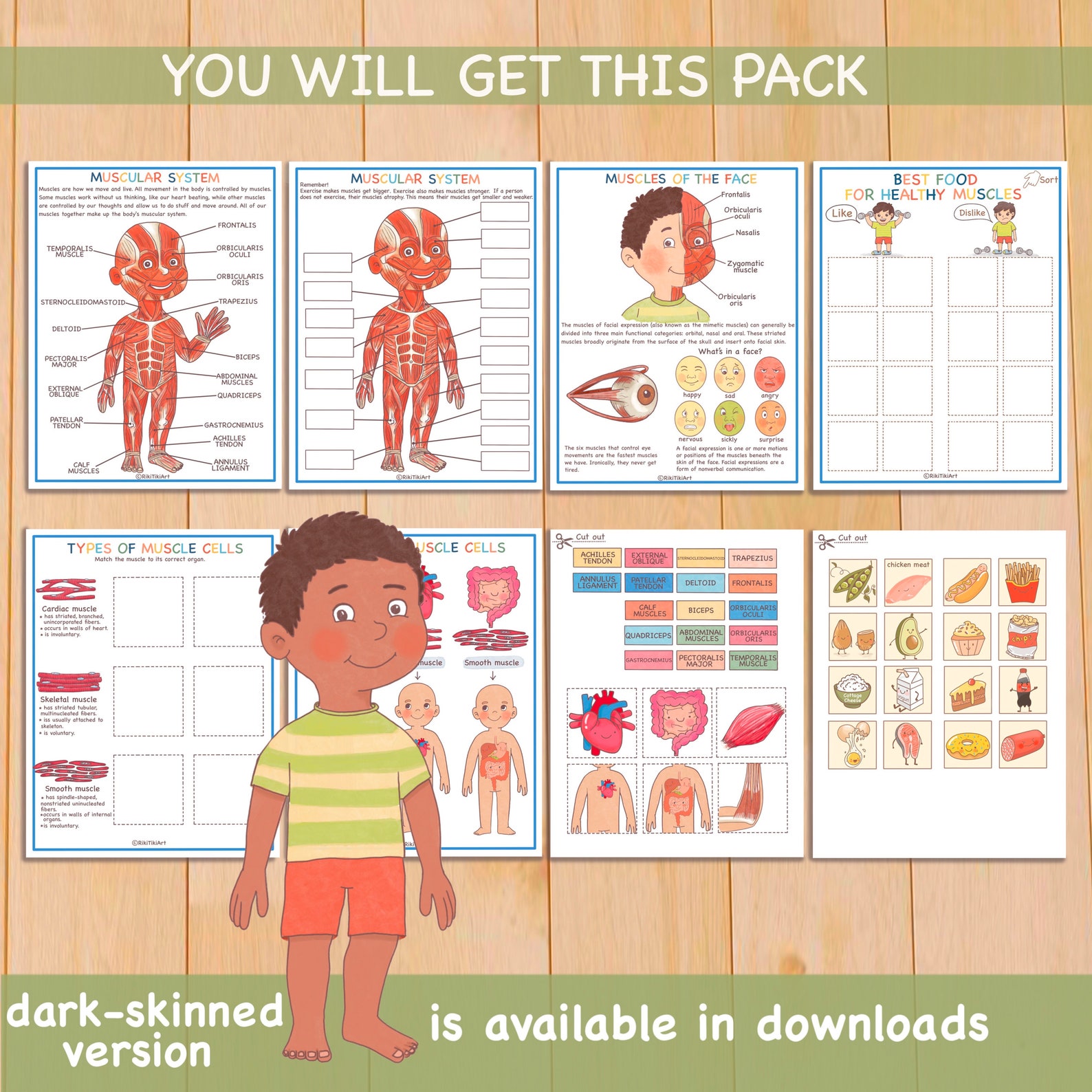 Muscular System Learning Bundle Human Anatomy Activity About - Etsy