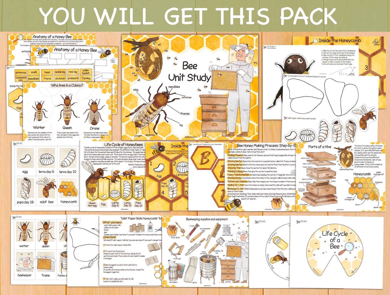 Honey Bee Unit Study Homeschool Summer Activities Bee Life Cycle ...