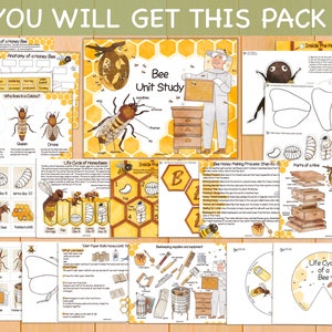 Honey Bee Unit Study Homeschool Summer Activities Bee Life Cycle ...