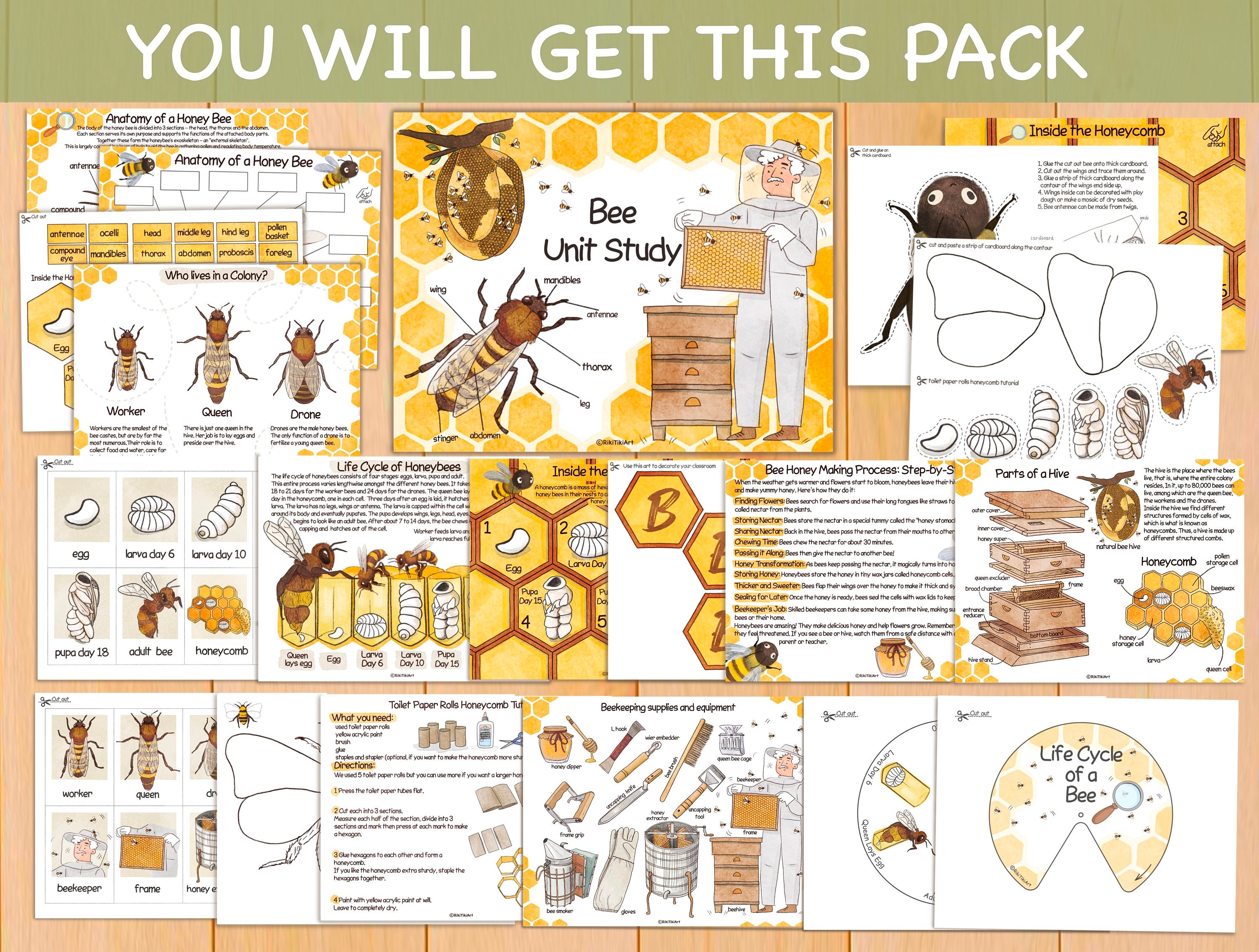 Honey Bee Unit Study Homeschool Summer Activities Bee Life Cycle ...