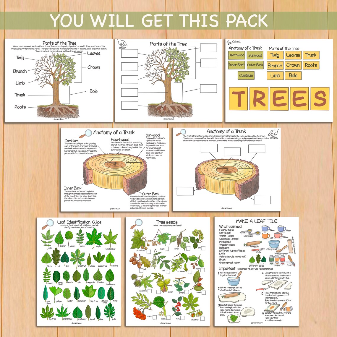 Tree Unit Study Bundle Charlotte Mason Anatomy of a Tree | Etsy