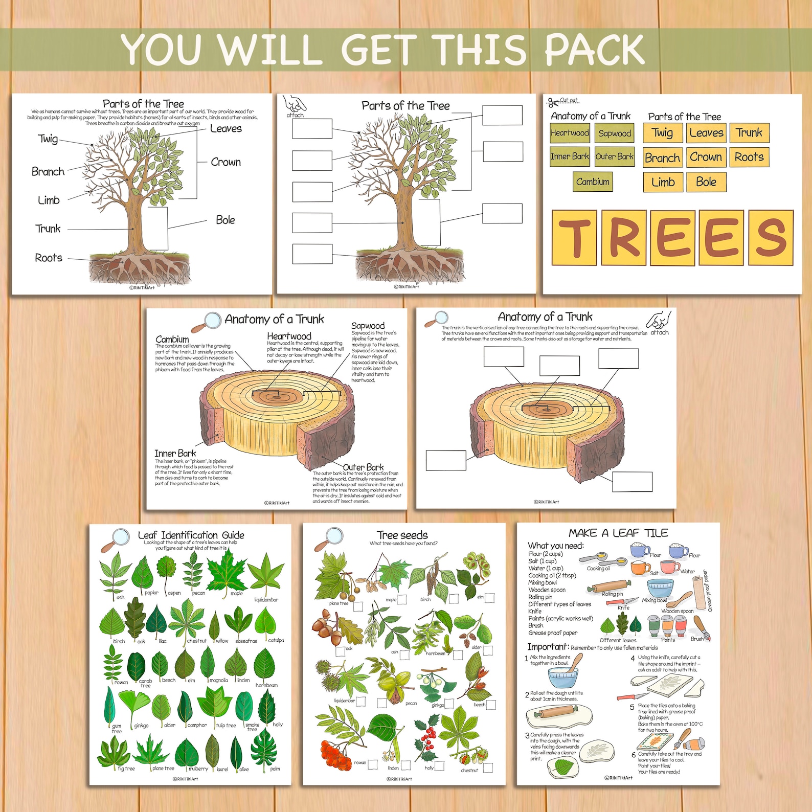 Tree Unit Study Bundle Charlotte Mason Anatomy of a Tree Nature Study ...