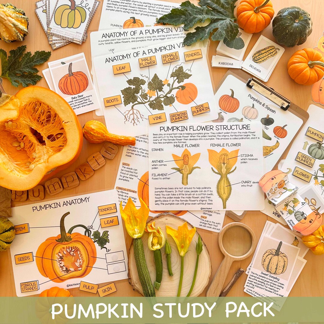 Pumpkin Unit Study Homeschool Preschool Charlotte Mason Fall Learning ...