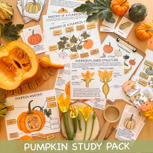 Pumpkin Unit Study Homeschool Preschool Charlotte Mason Fall Learning ...