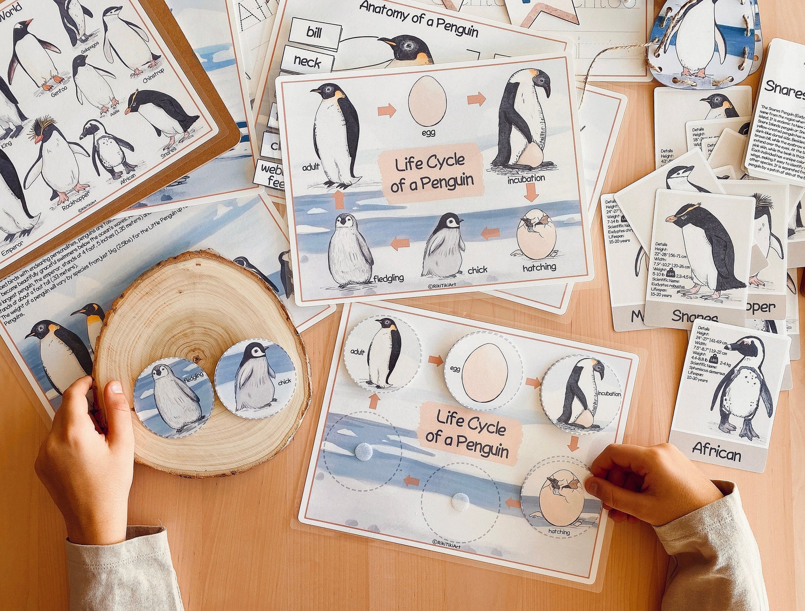 Penguins Unit Study Winter Homeschool Learning Materials - Etsy