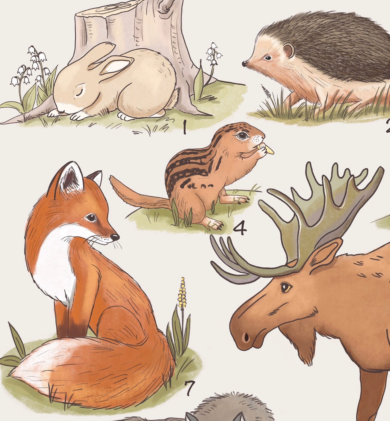 Woodland Animals Educational Posters Montessori Nursery | Etsy
