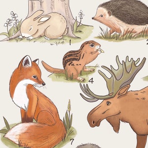 Woodland Animals Educational Posters Montessori Nursery Downloadable ...