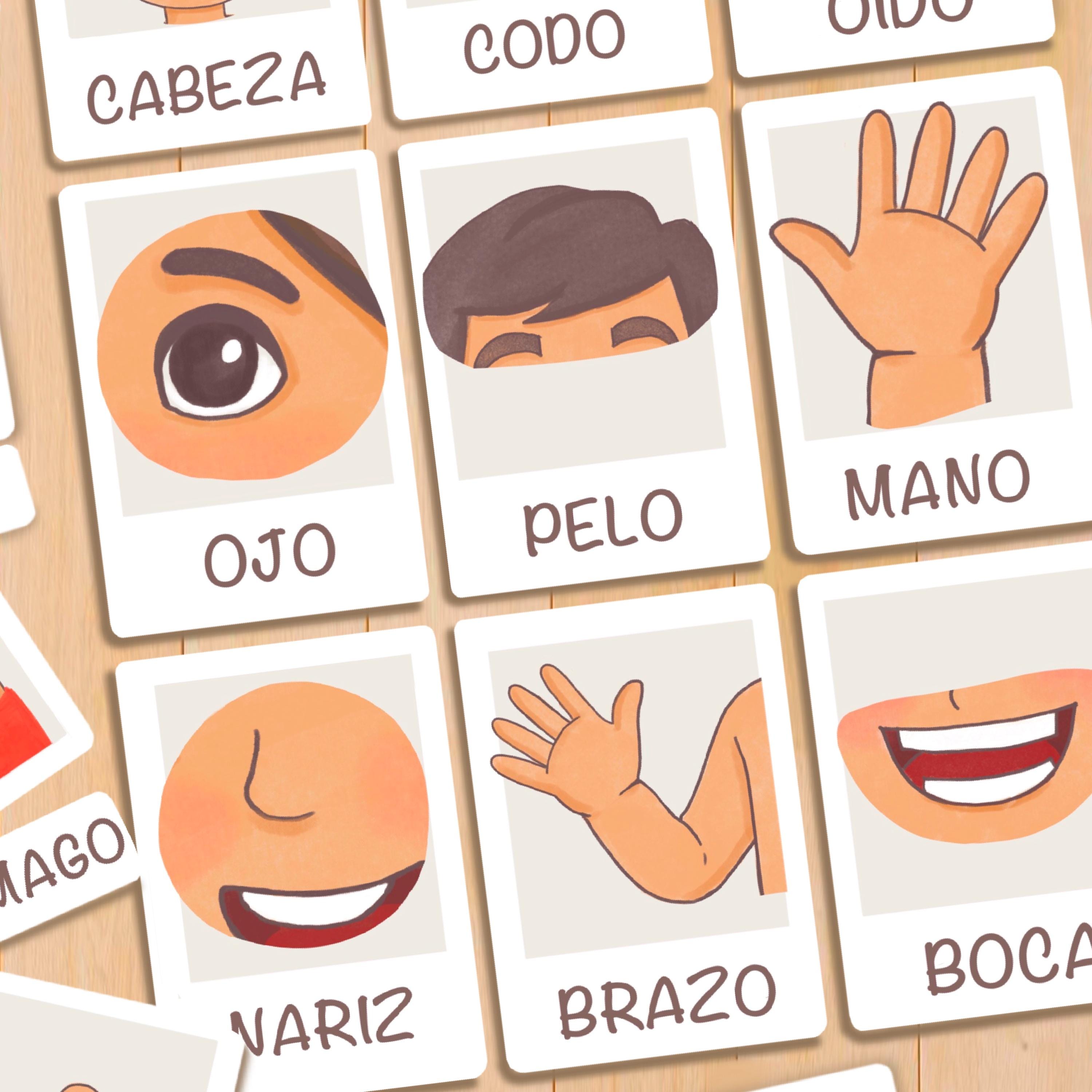 Spanish Body Parts Flash Cards: Montessori Homeschool Learning (digital ...