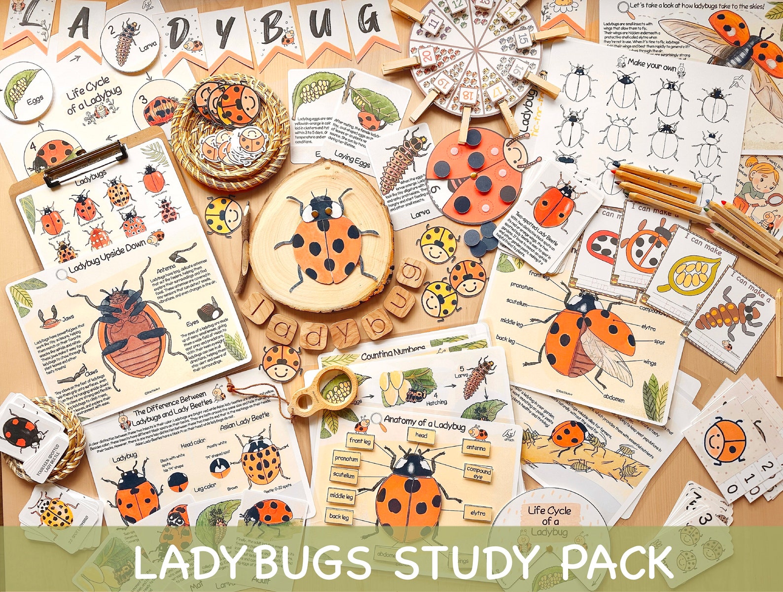 Ladybug Unit Study Homeschool Spring Printables Charlotte Mason ...