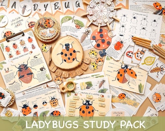 Ladybugs Unit Charlotte Mason Homeschool Nature Study - Etsy
