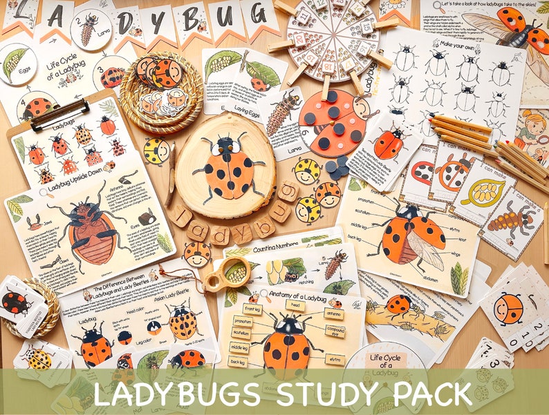 Ladybug Unit Study Homeschool Spring Printables Charlotte Mason ...