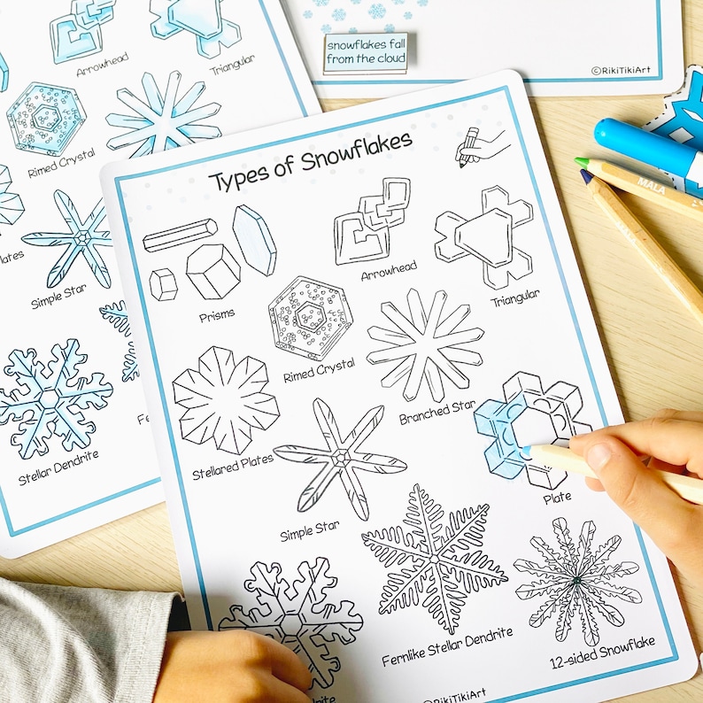 Snow Unit Study Snowflakes Printable Resources Homeschool | Etsy