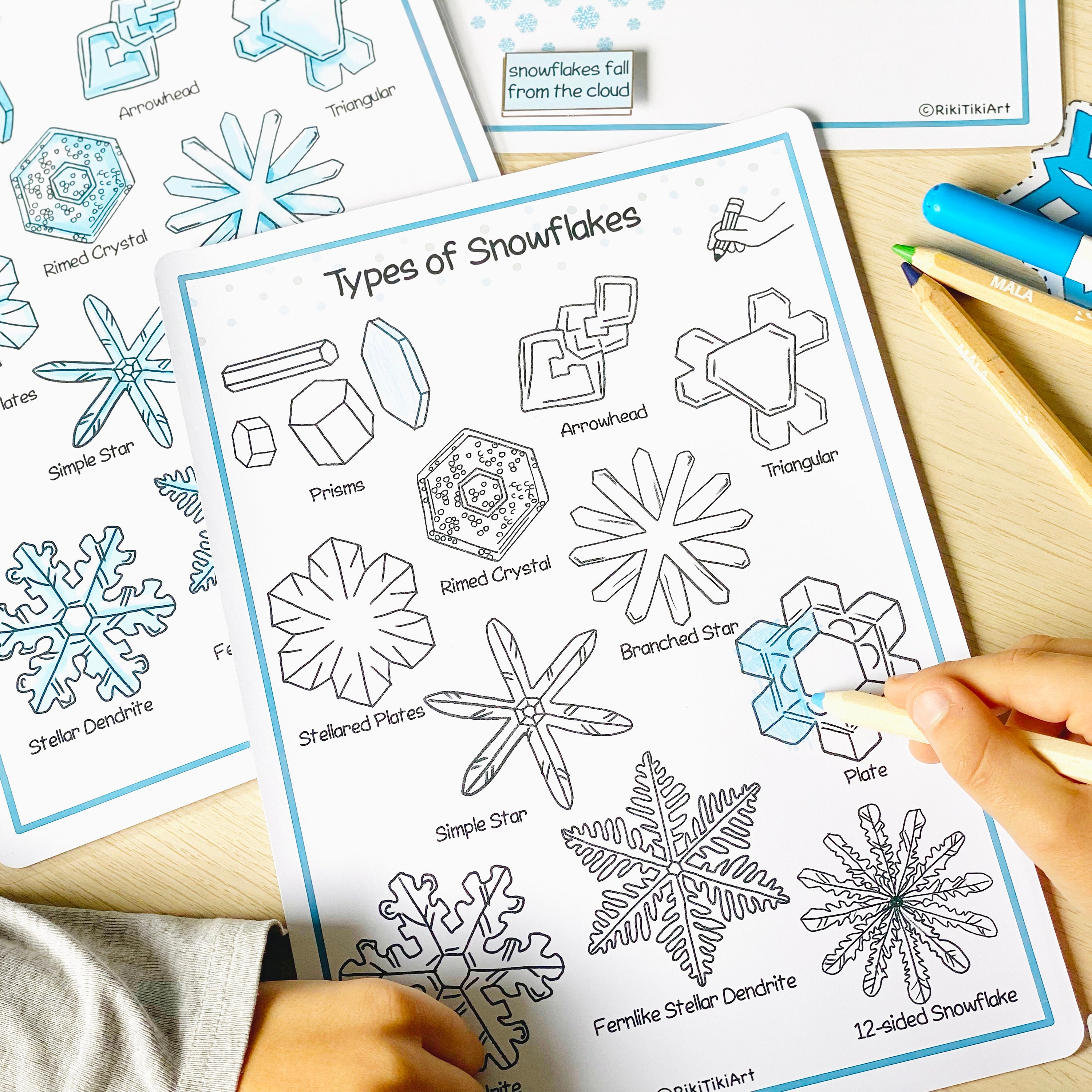 Snow Unit Study Snowflakes Printable Resources Homeschool - Etsy Canada