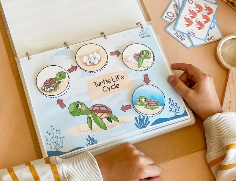 Ocean Animals Toddler Busy Book Printable Learning Binder - Etsy