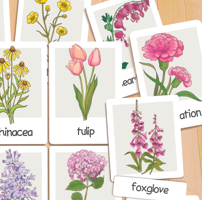 Flowers Flashcards Charlotte Mason Preschool Printables Toddler Flash ...