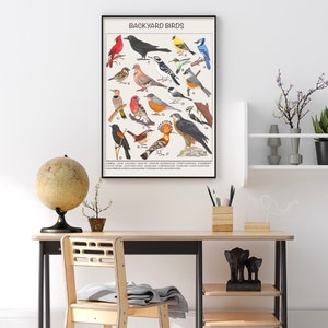 Backyard Birds Educational Posters, Montessori Nursery Downloadable ...
