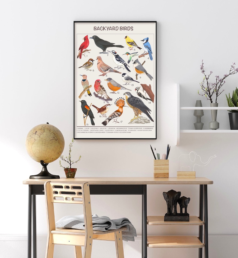 Backyard Birds Educational Posters Montessori Nursery - Etsy