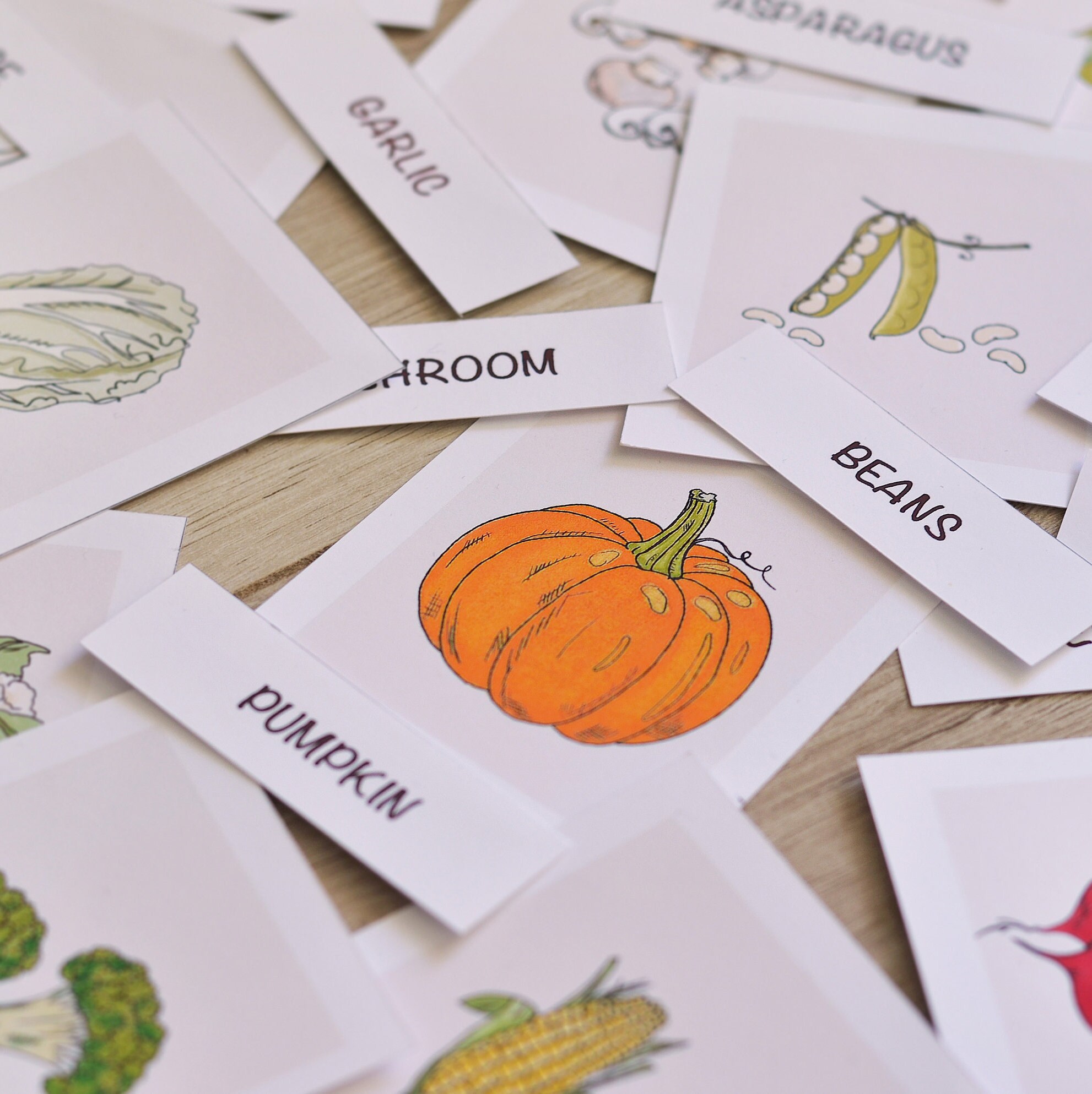 Vegetables Flash Cards, Homeschool Montessori Materials, Preschool ...