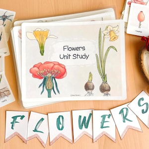 Flowers Unit Study Charlotte Mason Spring Printables Life Cycle of a ...