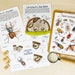 Printable Nature Journal Homeschool Learning Materials Charlotte Mason ...