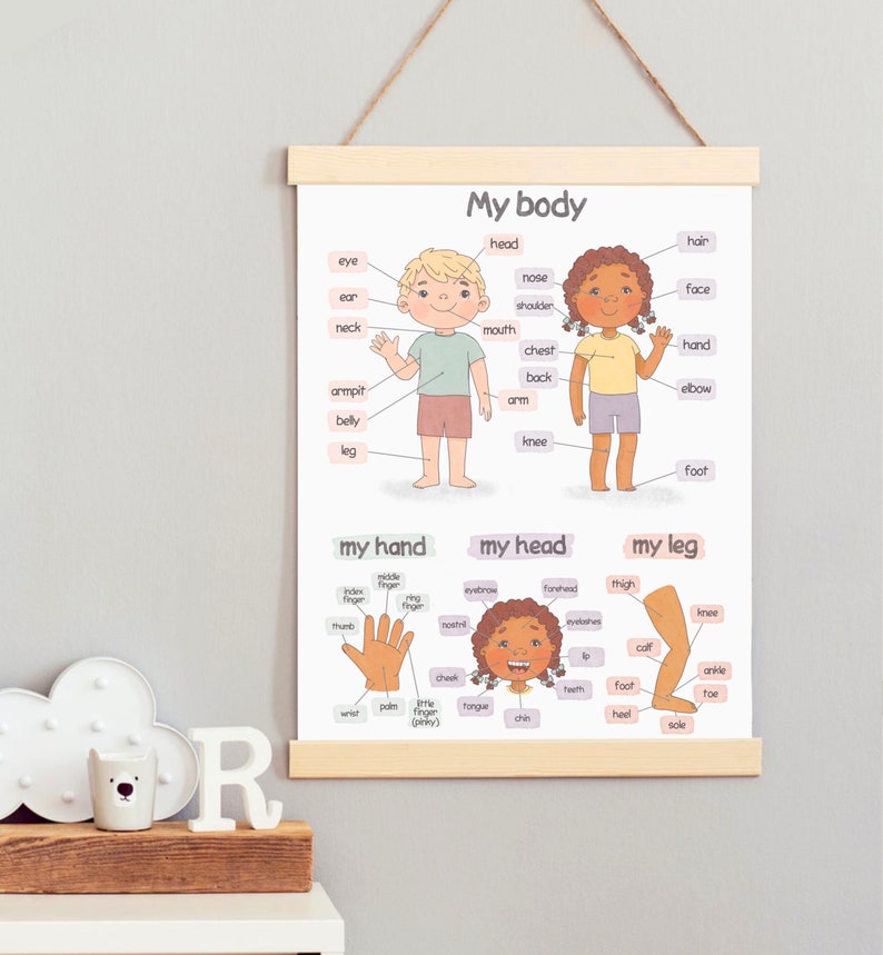 Body Parts Poster Montessori Homeschool Educational Posters - Etsy