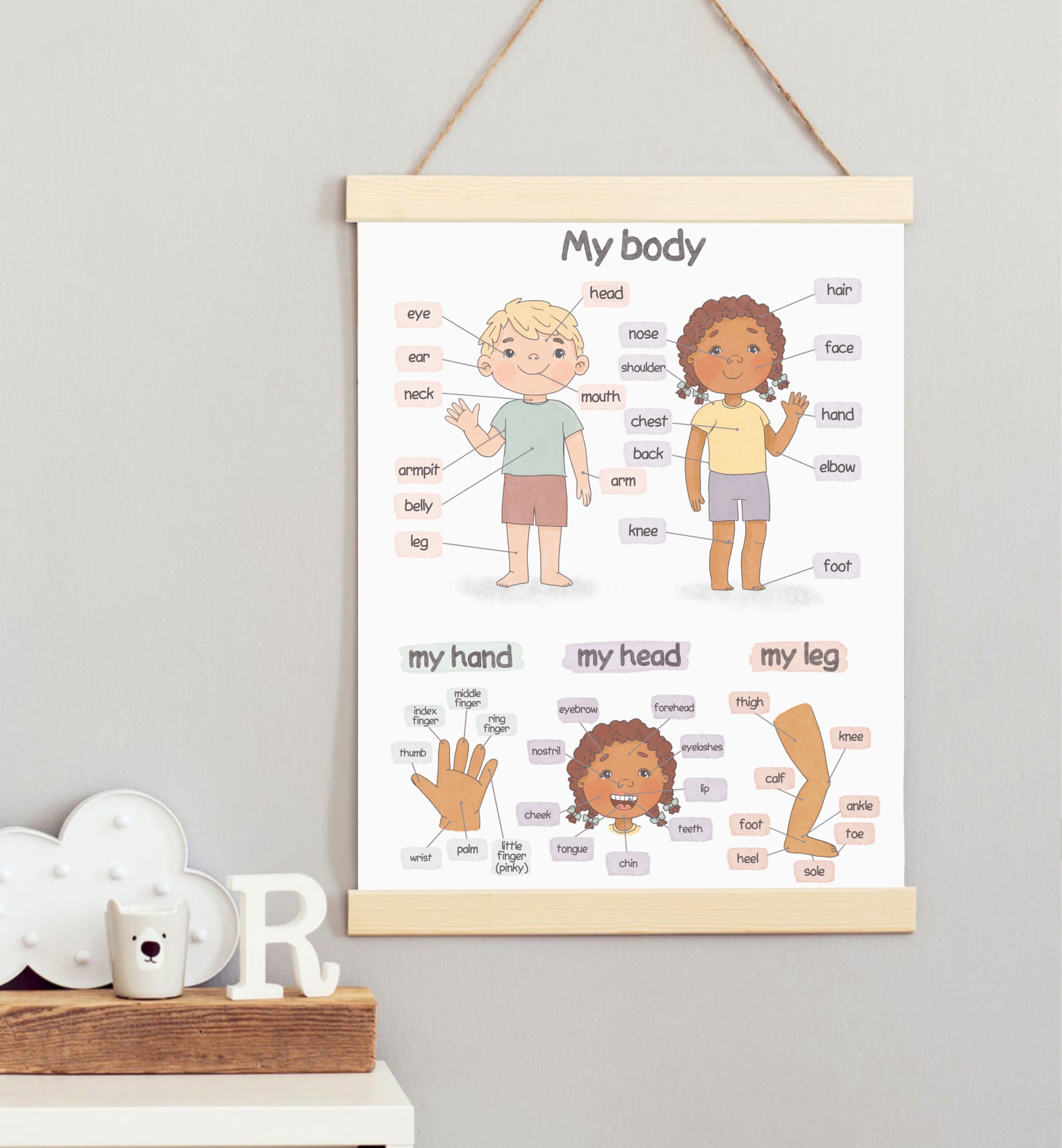 Body Parts Poster Montessori Homeschool Educational Posters for ...