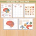 Human Brain Anatomy Bundle, Printable Homeschool Curriculum Preschool ...