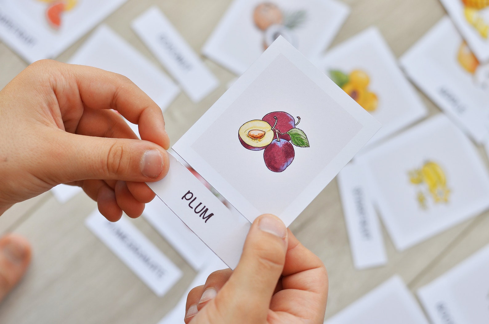 Fruits Flash Cards, Montessori Materials, Preschool Curriculum, Toddler ...