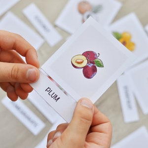 Fruits Flash Cards, Montessori Materials, Preschool Curriculum, Toddler ...