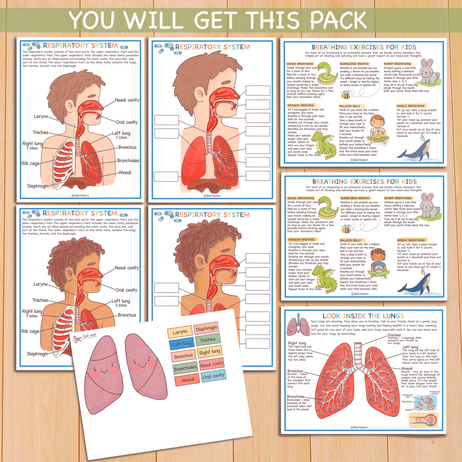 Respiratory System Bundle Human Anatomy Preschool Worksheets - Etsy